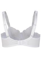 Women Lace Side Hipster Ivory - Plus Size Bras