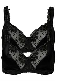 Women Lace Side Hipster Ivory - Plus Size Bras